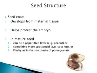 Seed and seedling vigor 17 | PPTX