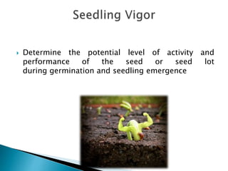 Seed and seedling vigor 17 | PPTX