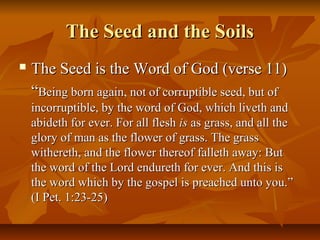 Seed and soils | PPT