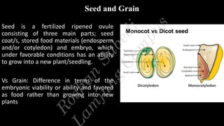 Seed and Sowing | PDF