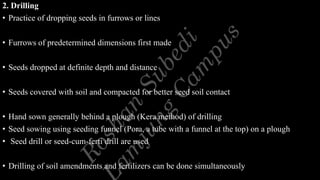 Seed and Sowing | PDF