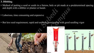 Seed and Sowing | PDF