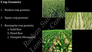 Seed and Sowing | PDF