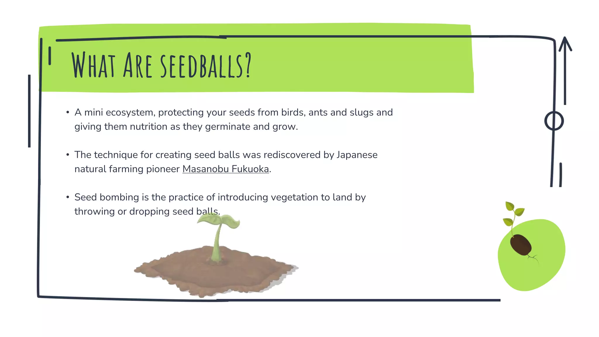 Seedball.pptx