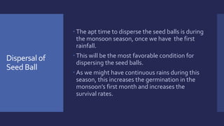 Seed Balls | PPTX