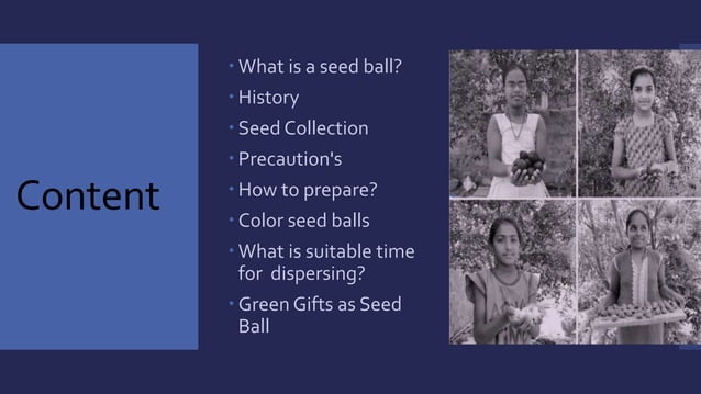 Seed Balls | PPTX | Gardening | Home & Garden