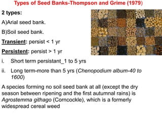 Seed bankss | PPTX