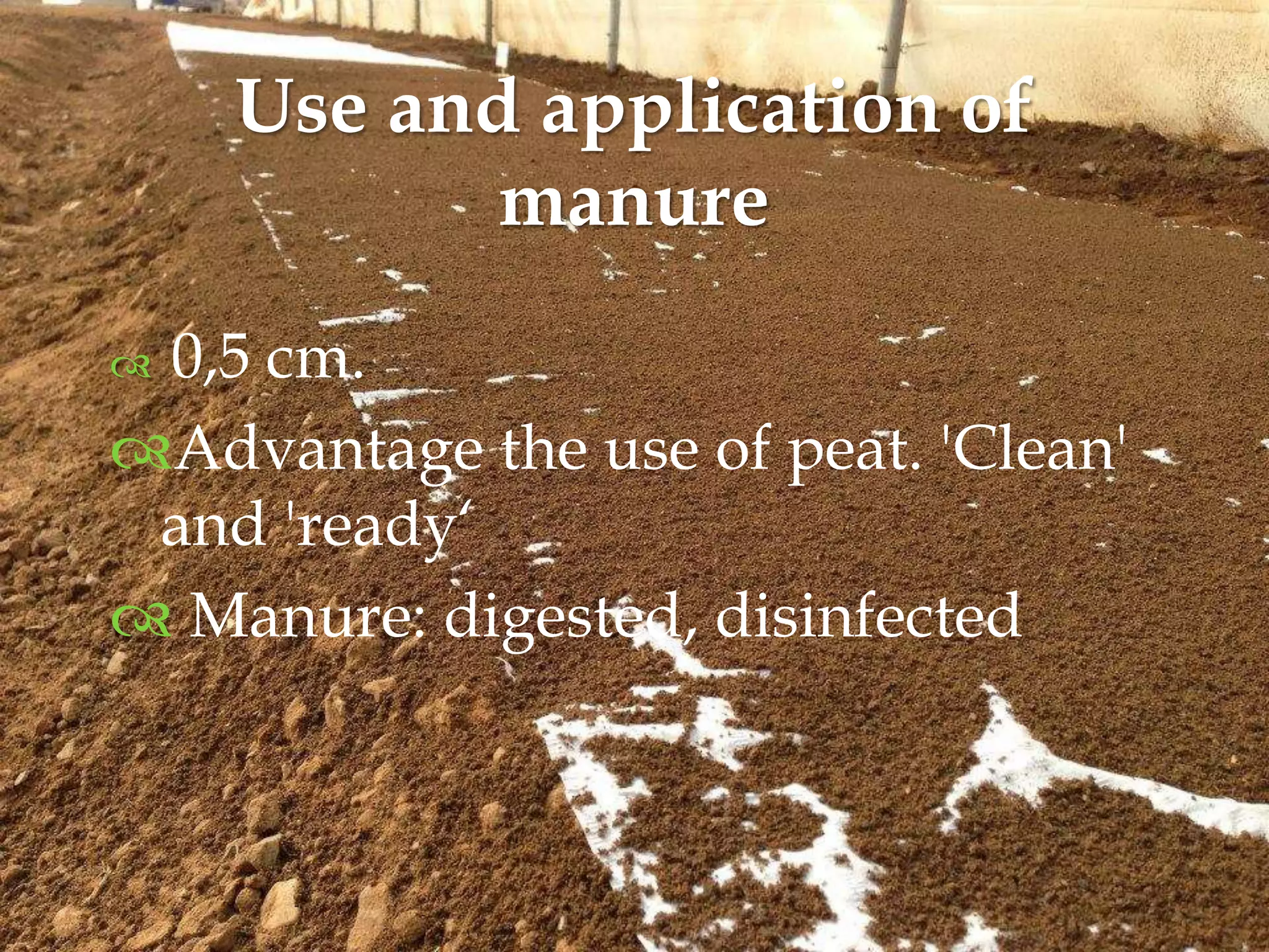 Seedbed cover (Oriental tobacco) | PPTX