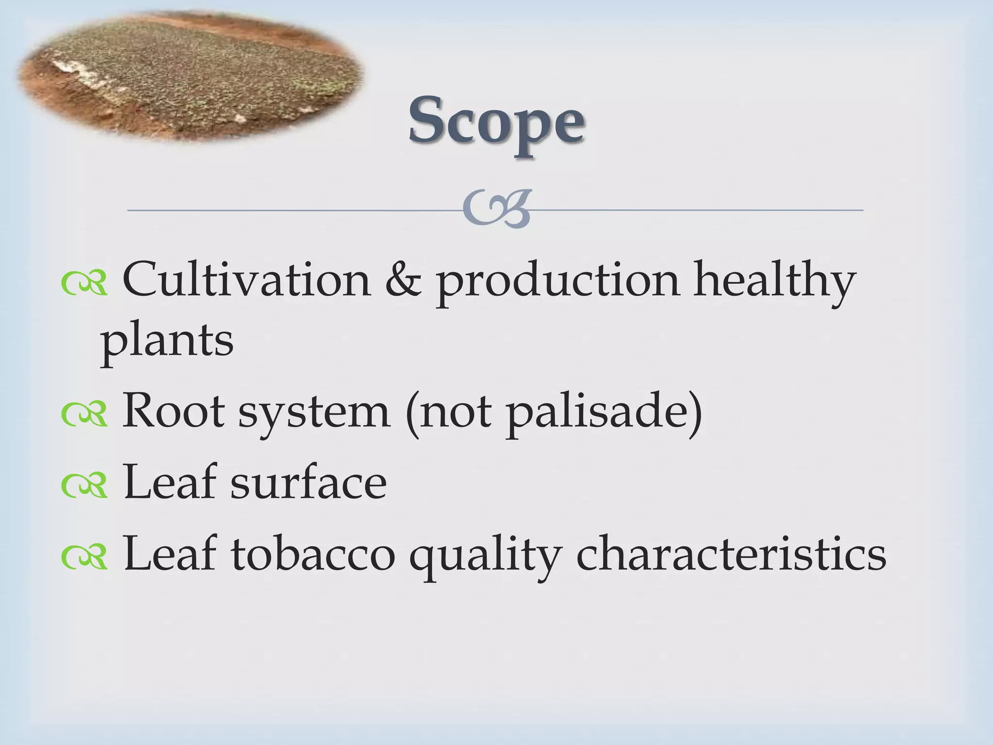 Seedbed cover (Oriental tobacco) | PPTX