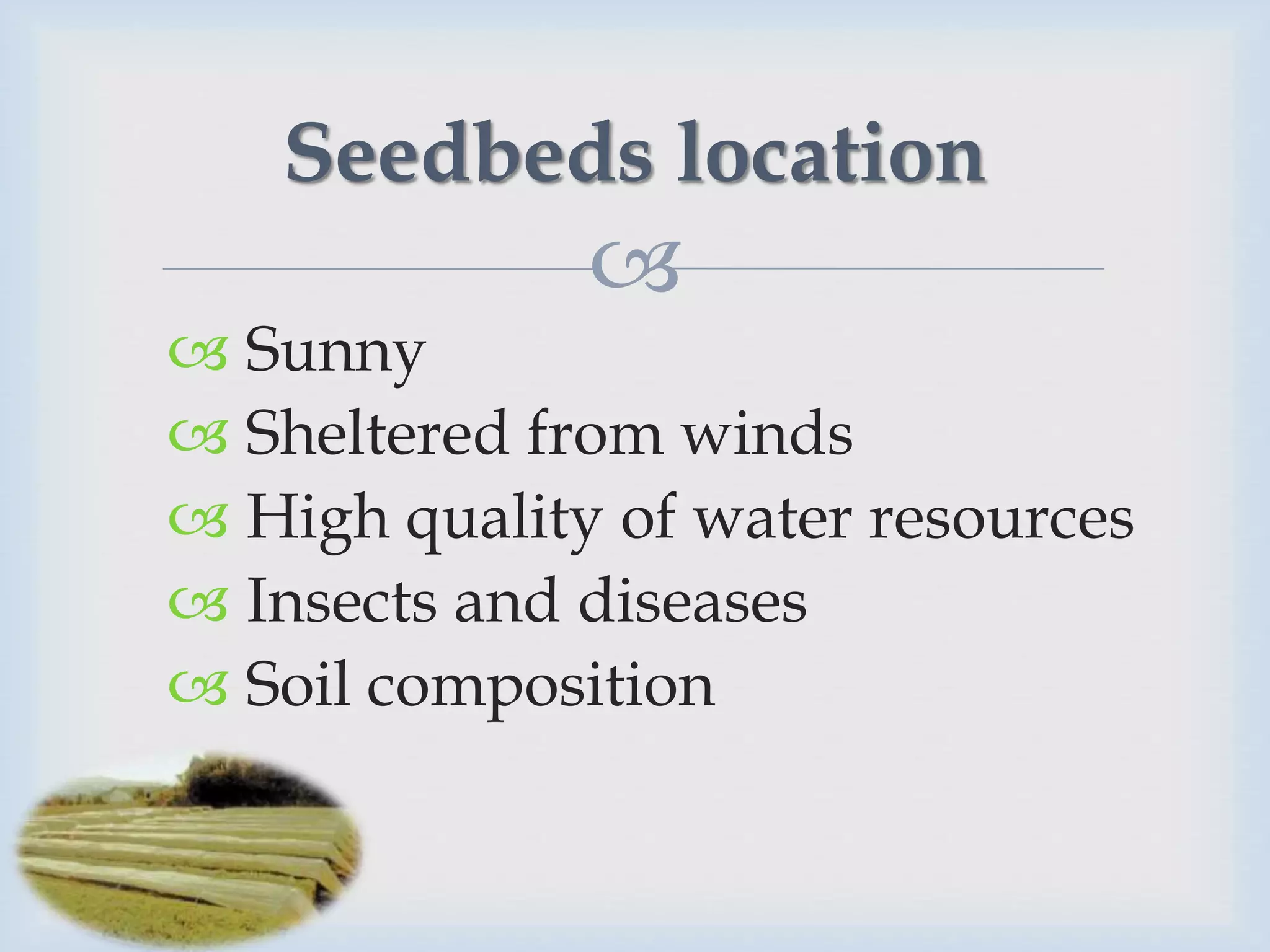 Seedbed cover (Oriental tobacco) | PPTX