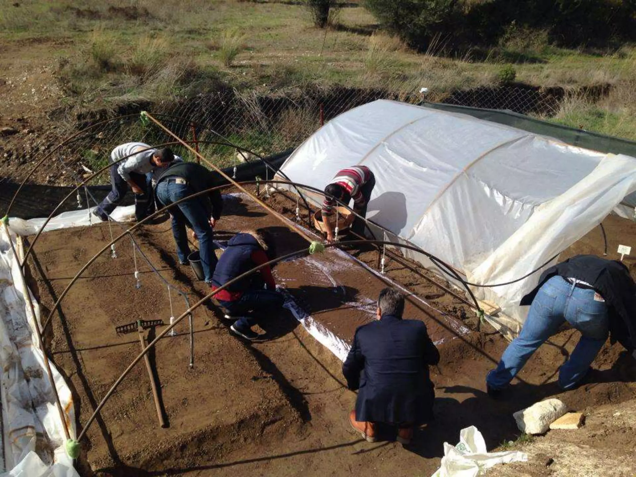 Seedbed cover (Oriental tobacco) | PPTX