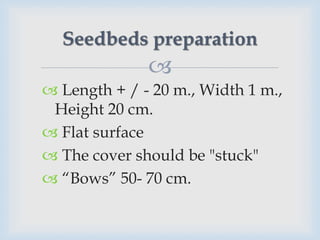 Seedbed cover (Oriental tobacco) | PPTX