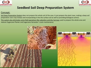 Seedbed Soil Deep Preparation System + Meiosi + Pre Germinated Seed ...