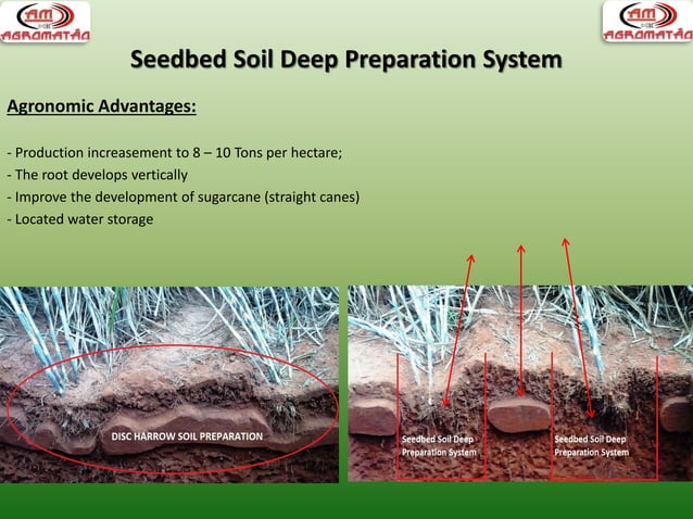 Seedbed Soil Deep Preparation System + Meiosi + Pre Germinated Seed ...