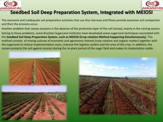 Seedbed Soil Deep Preparation System + Meiosi + Pre Germinated Seed ...