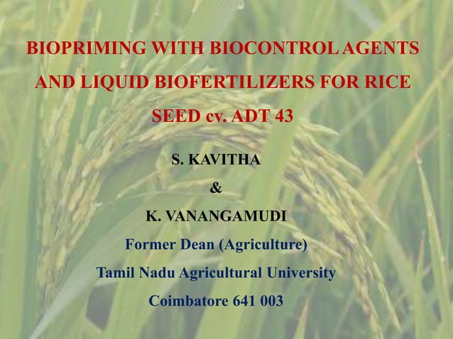 Seed Biopriming in Rice.ppt