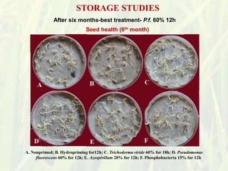 Seed Biopriming in Rice.ppt