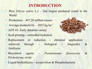Seed Biopriming in Rice.ppt
