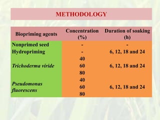 Seed Biopriming in Rice.ppt