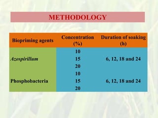 Seed Biopriming in Rice.ppt