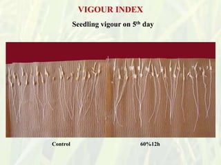 Seed Biopriming in Rice.ppt