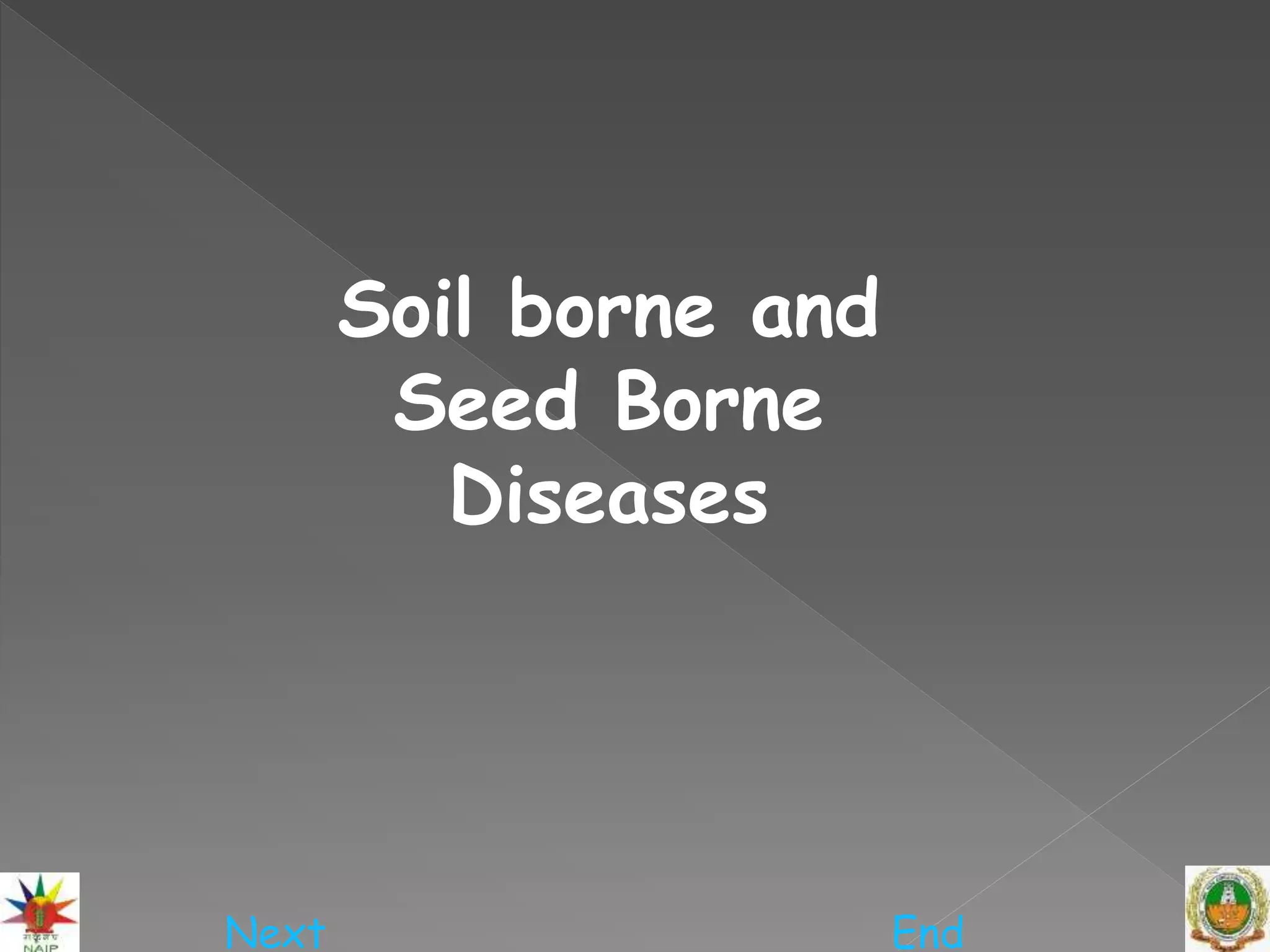Seed born diseases | PPT