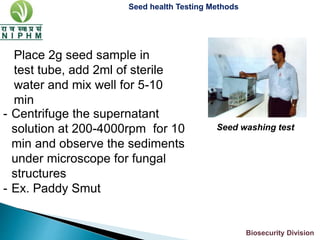 seed borne diseases 2 Gireeshsir.pptx