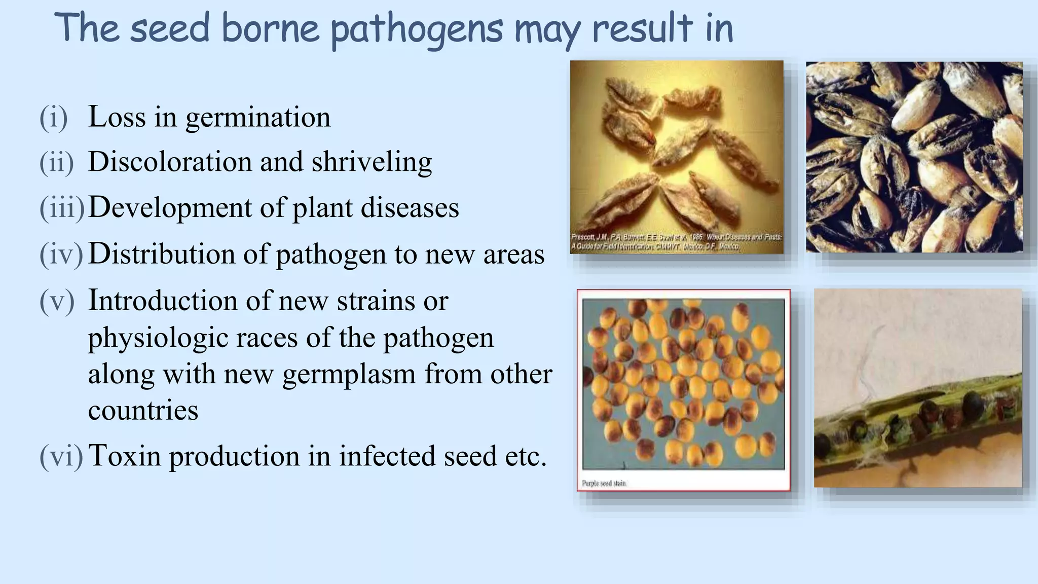Seed borne diseases seminar | PPTX