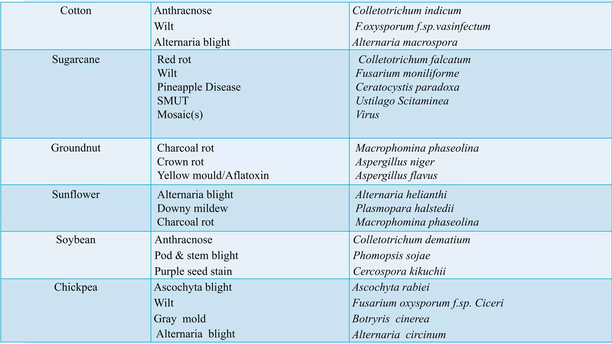Seed borne diseases seminar | PPTX