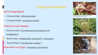 Seed borne diseases seminar | PPTX