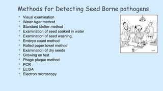 Seed borne diseases seminar | PPTX