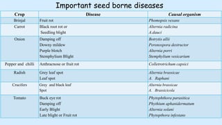 Seed borne diseases seminar | PPTX