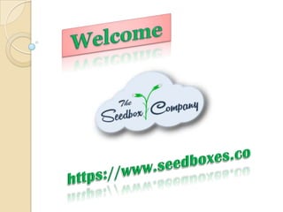 Seed box | PPT