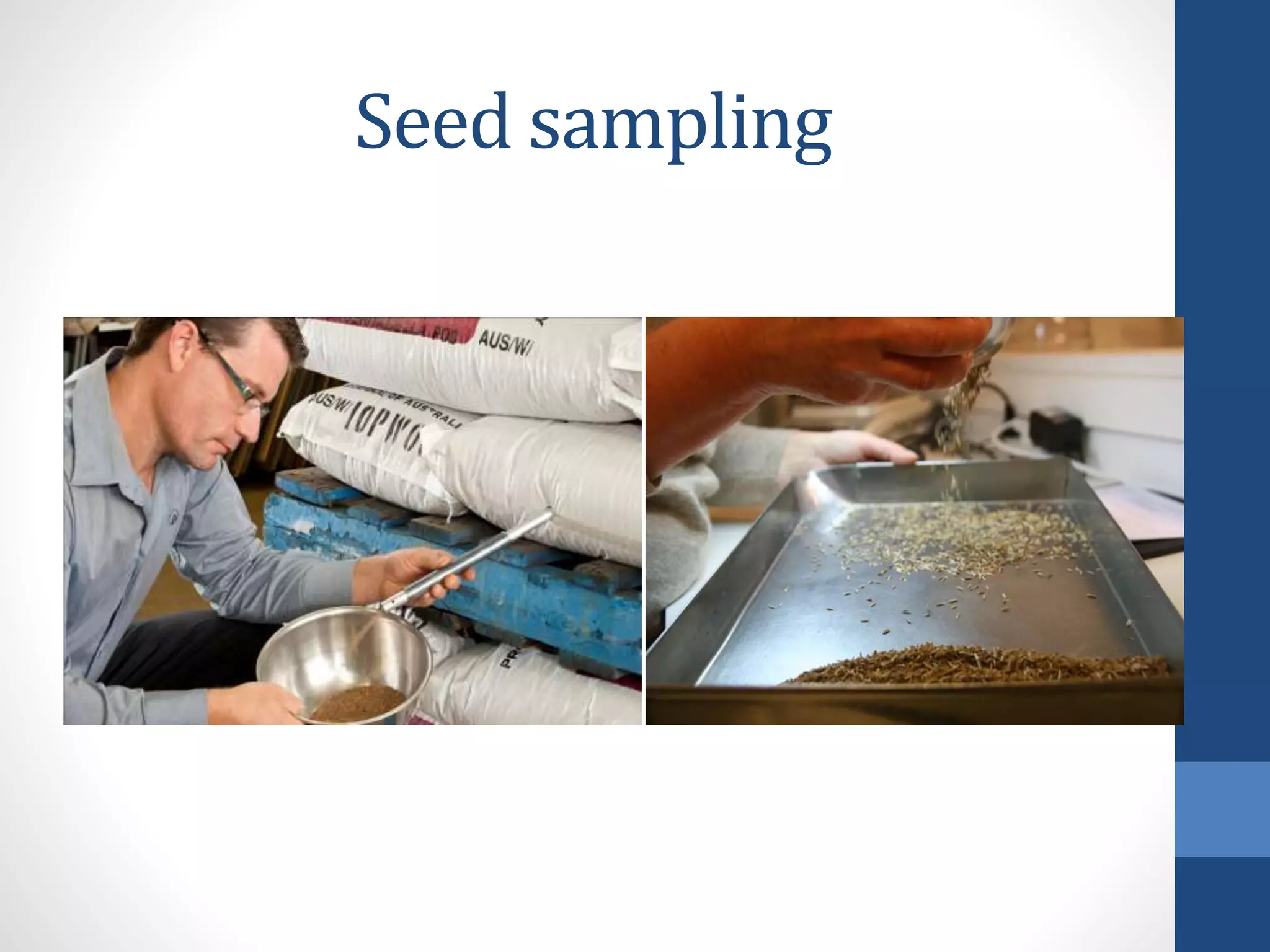 Seed certification | PPTX