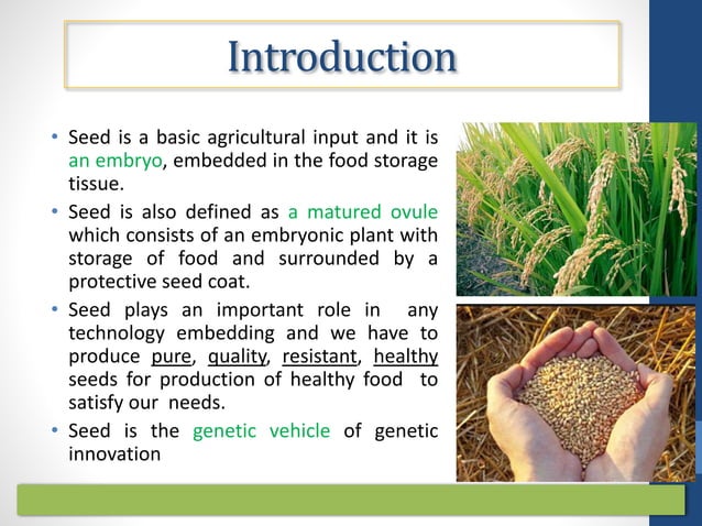 Seed certification | PPTX | Agriculture | Industries