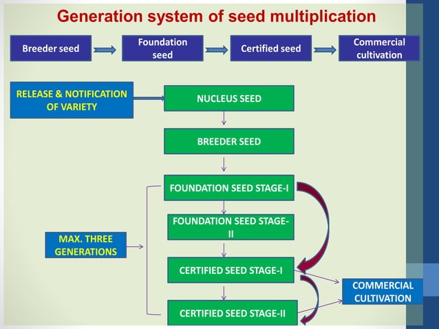 Seed certification | PPTX | Agriculture | Industries