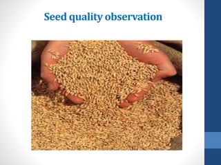 Seed certification | PPTX