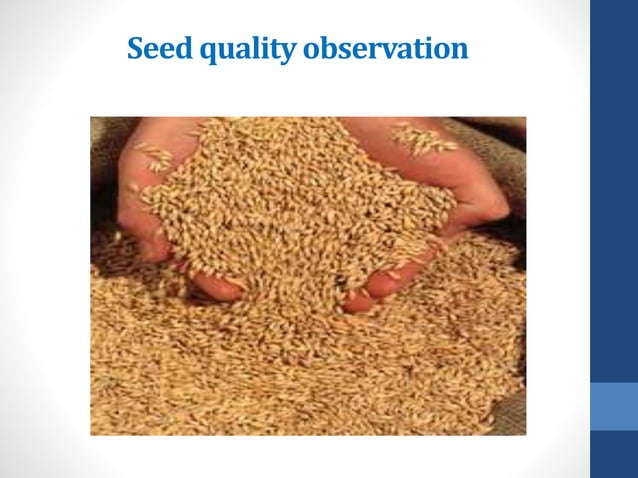 Seed certification | PPTX | Agriculture | Industries