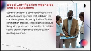 Seed Certification Phase and Procedure for Certification | PDF