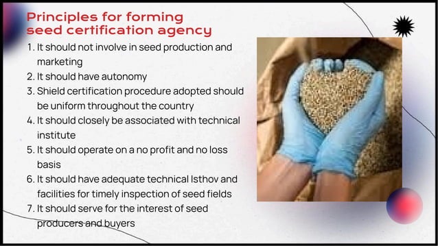 Seed Certification Phase and Procedure for Certification | PDF