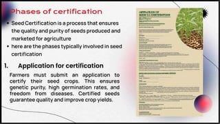 Seed Certification Phase and Procedure for Certification | PDF