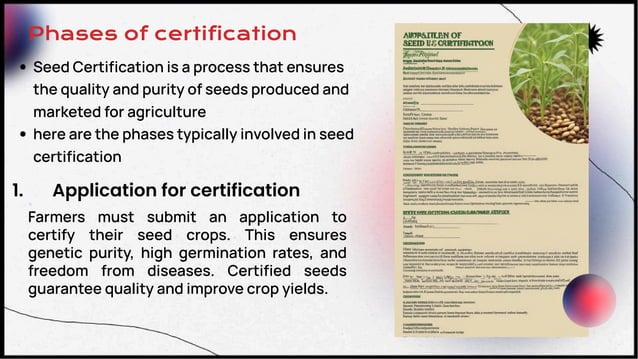 Seed Certification Phase and Procedure for Certification | PDF