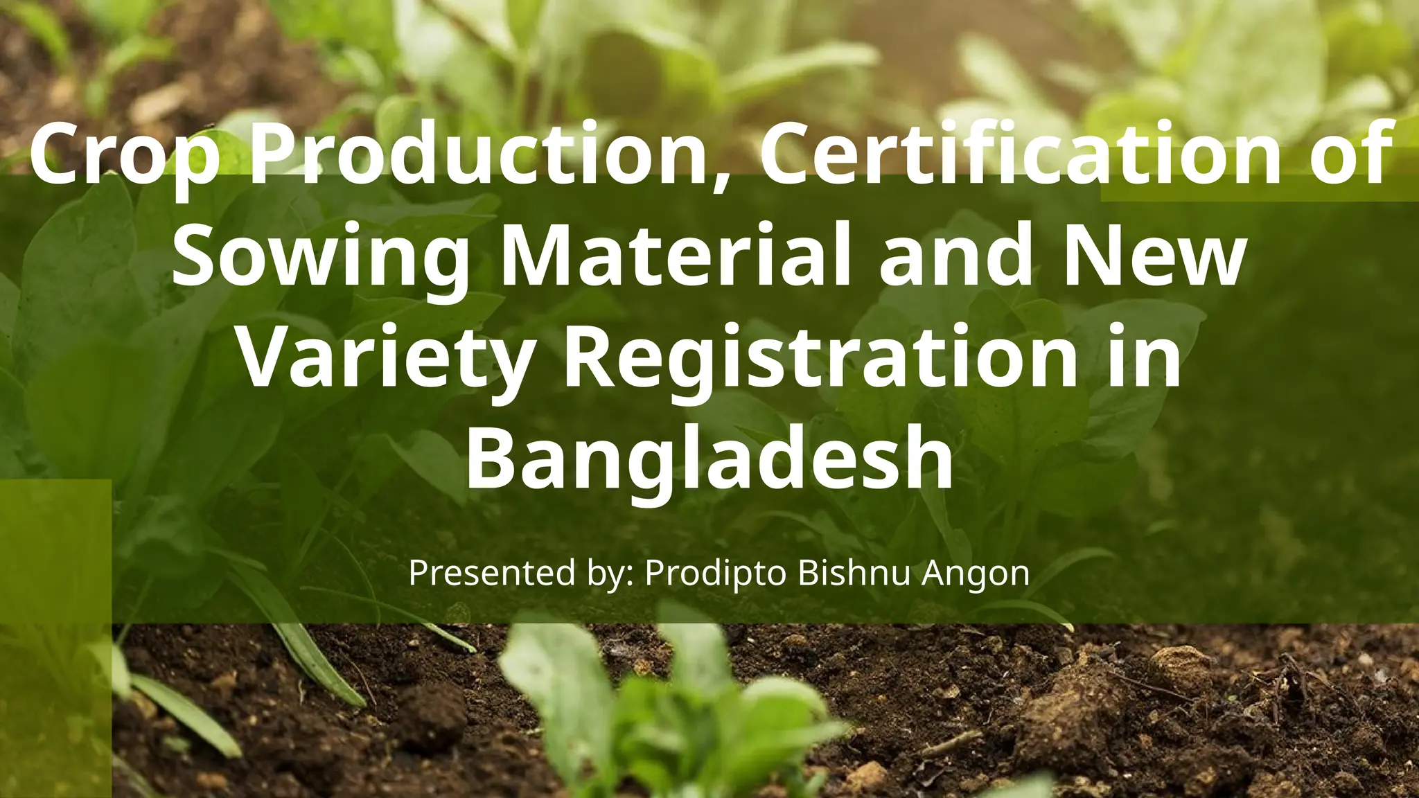 Crop Production, Certification of Sowing Material and New Variety ...