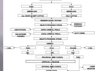 Seed certification and certification process A Lecture By Mr Allah Dad ...