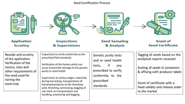Seed Certification Pointers.pptx
