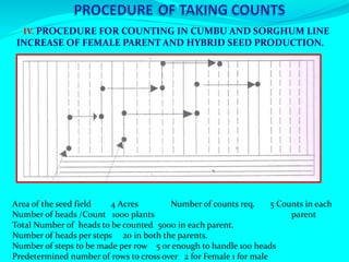 Seed certification training | PPT