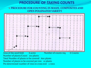 Seed certification training | PPT