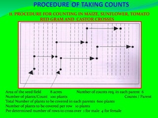 Seed certification training | PPT