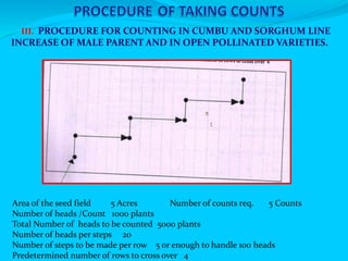 Seed certification training | PPT