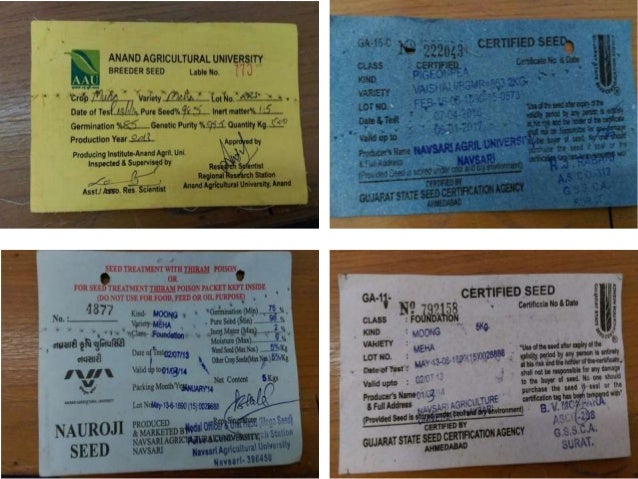 Seed certification, quality, packaging and storage